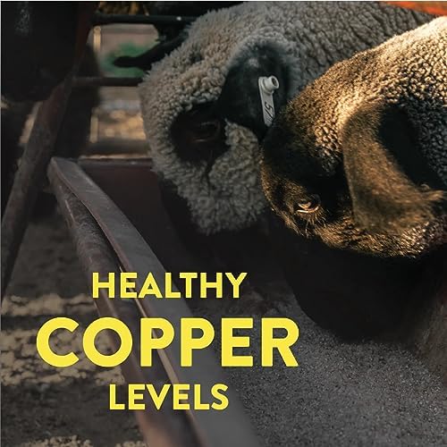 Natural trace minerals for optimal nutrition