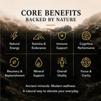 Natural trace minerals from shilajit