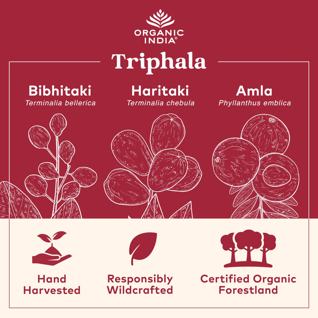 natural triphala for digestive wellness