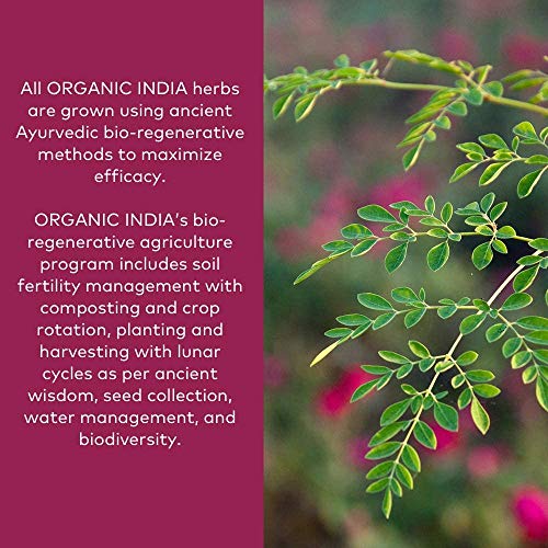 natural triphala supplement for detox