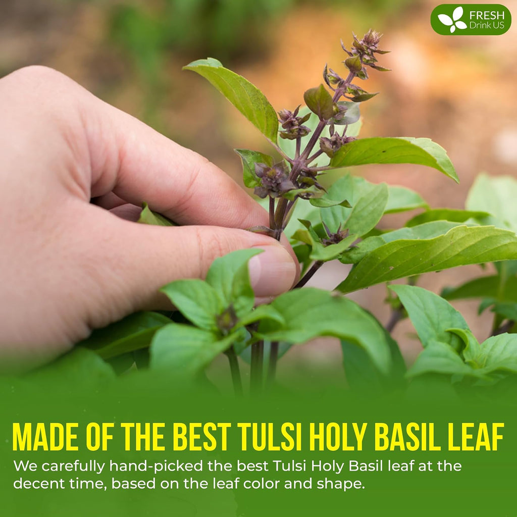 Natural Tulsi powder for wellness