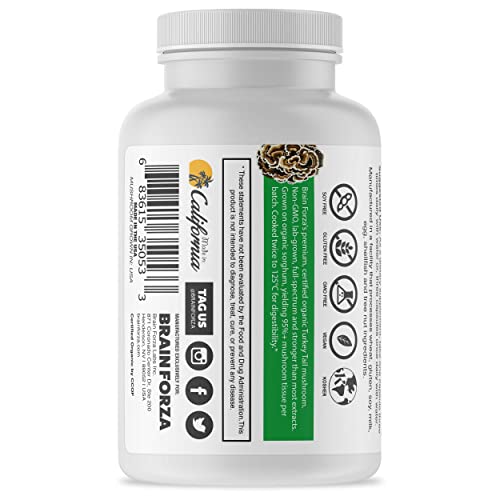 natural turkey tail extract benefits