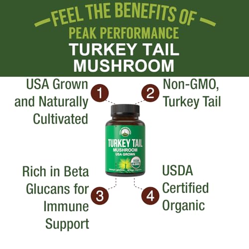 natural turkey tail immune support