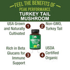 natural turkey tail immune support