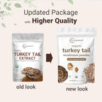 natural turkey tail mushroom benefits