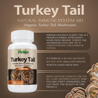natural turkey tail mushroom extract