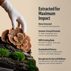 natural turkey tail mushroom supplement