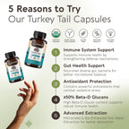 natural turkey tail mushroom supplement