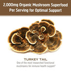 natural turkey tail powder supplement