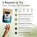 natural turkey tail supplement benefits