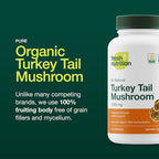 natural turkey tail supplement benefits