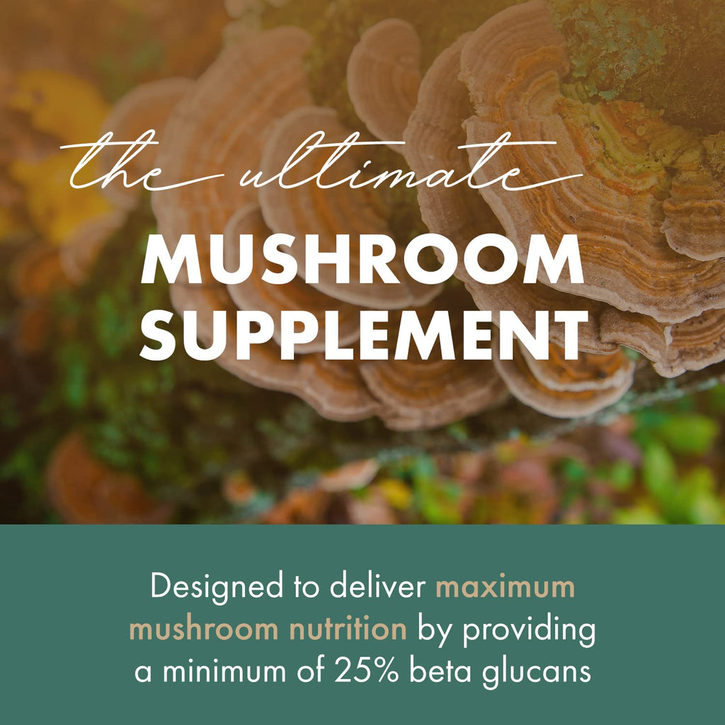 natural turkey tail supplement benefits