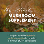 natural turkey tail supplement benefits