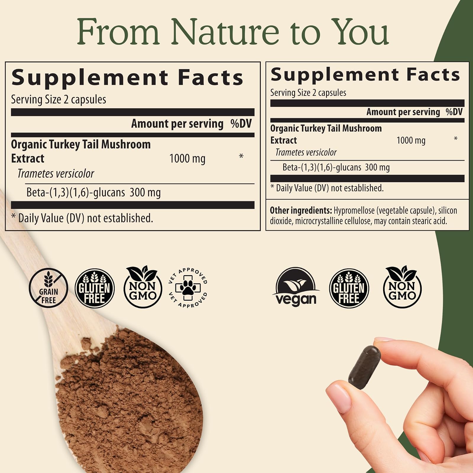 natural turkey tail supplement for energy