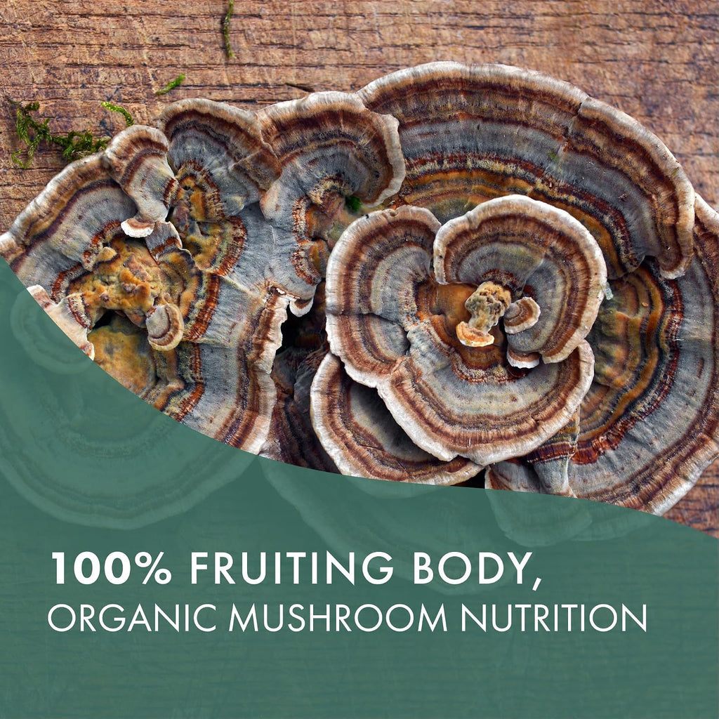 natural turkey tail supplement for wellness