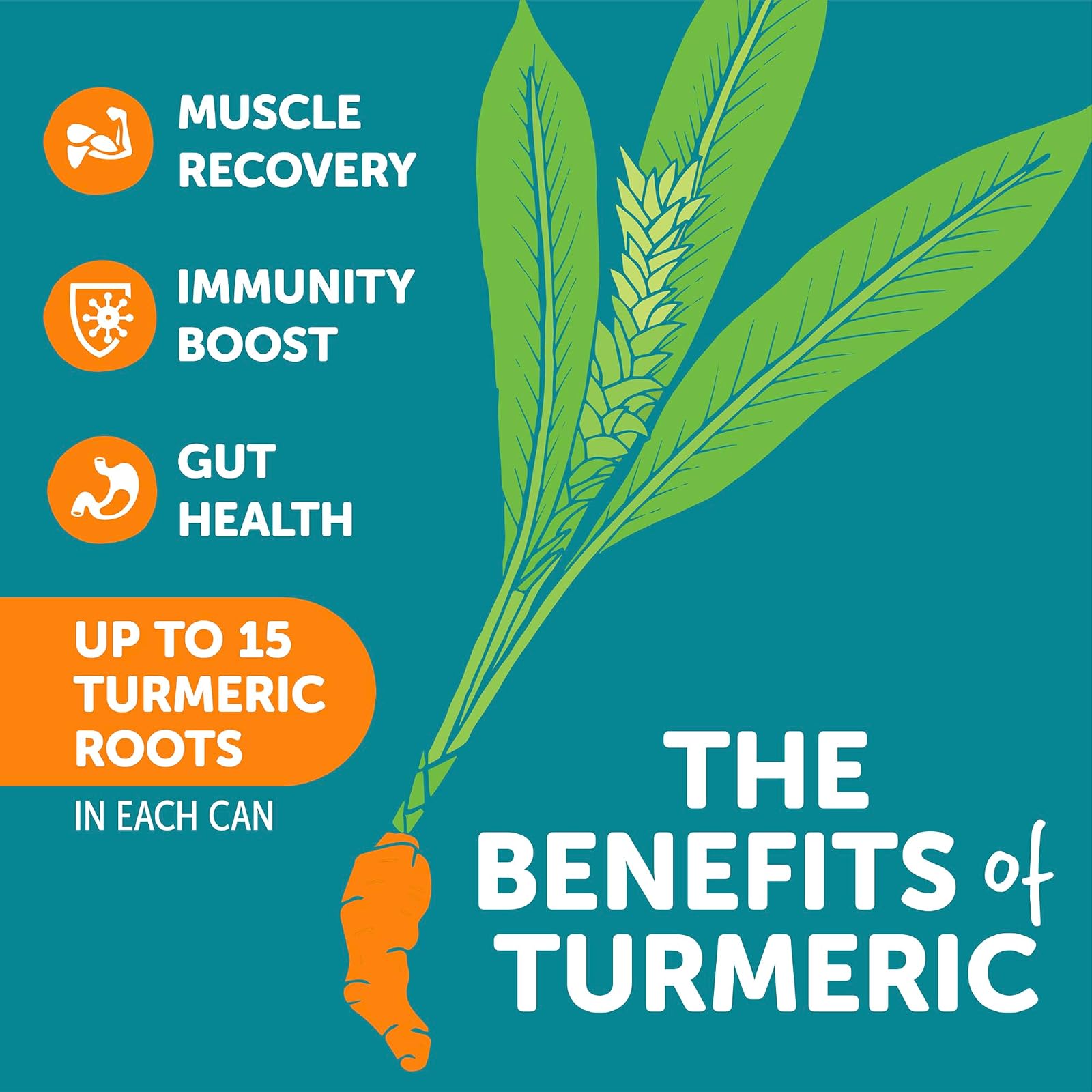 natural turmeric and ginger infusion