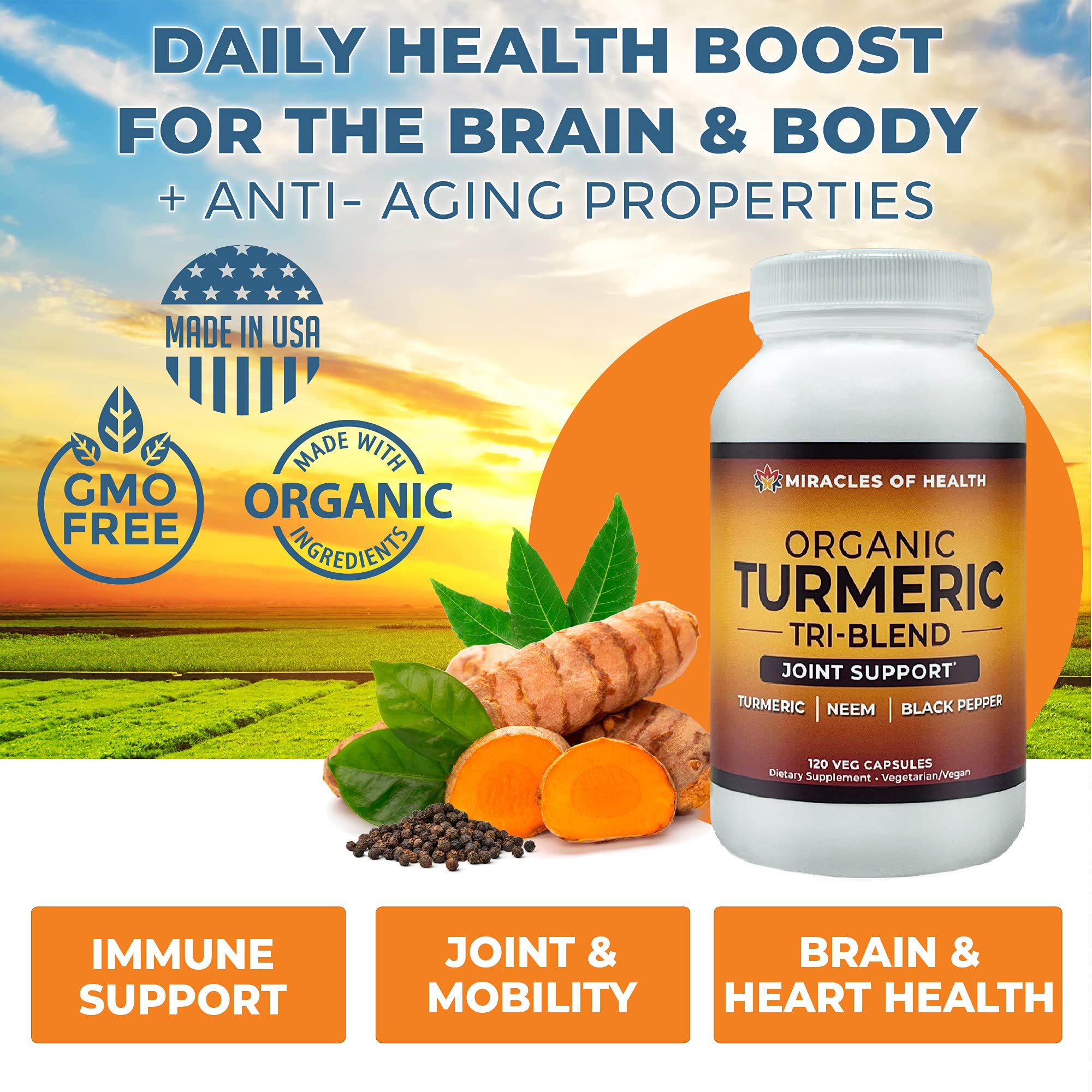 natural turmeric blend for wellness