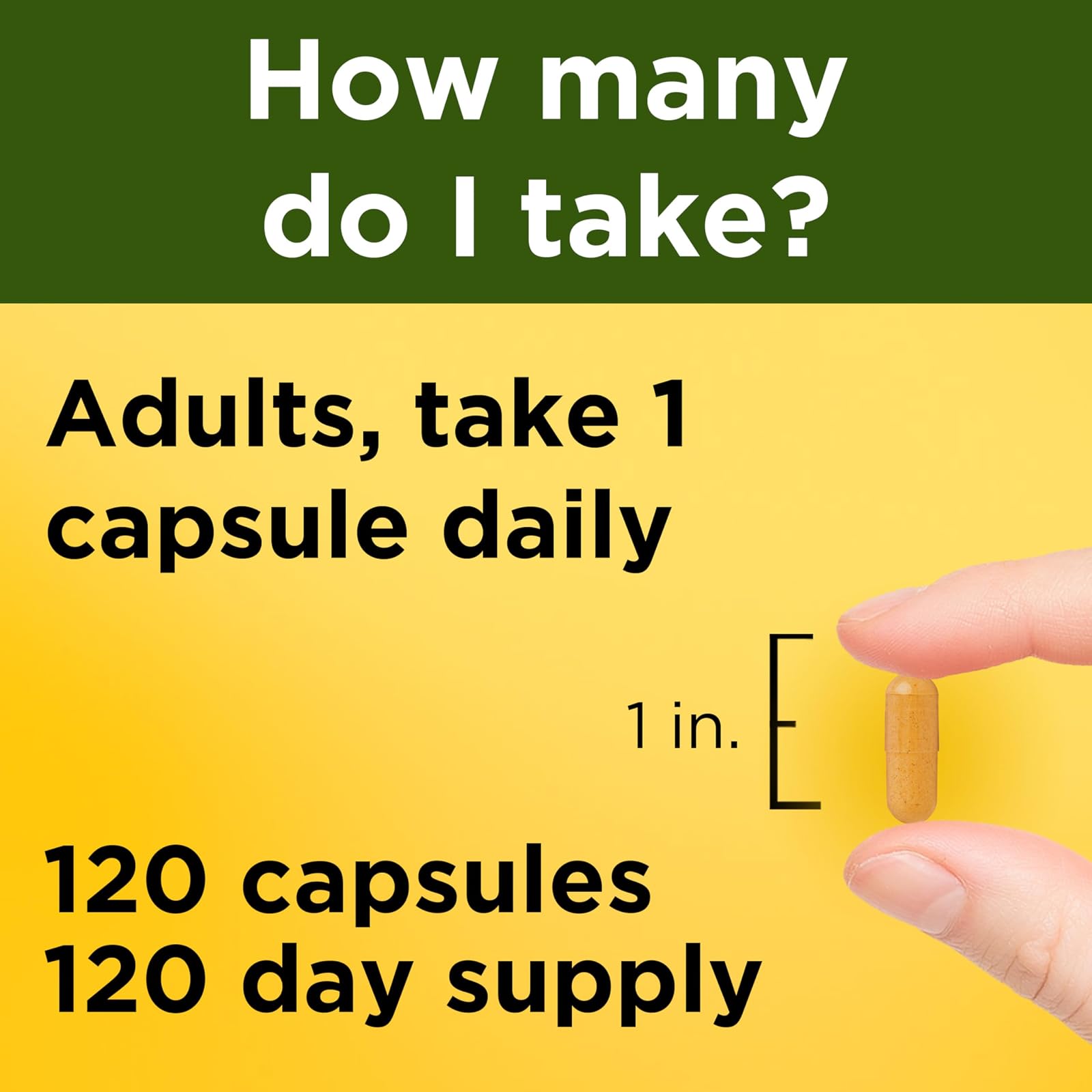 natural turmeric curcumin for wellness