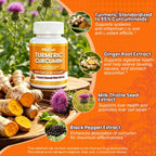 natural turmeric curcumin supplement benefits