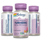 natural turmeric curcumin supplement benefits