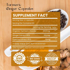 natural turmeric curcumin supplement benefits