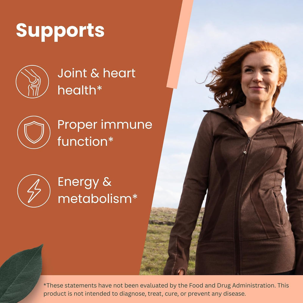 natural turmeric curcumin supplement