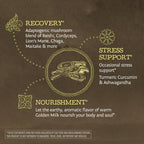 natural turmeric curcumin supplement