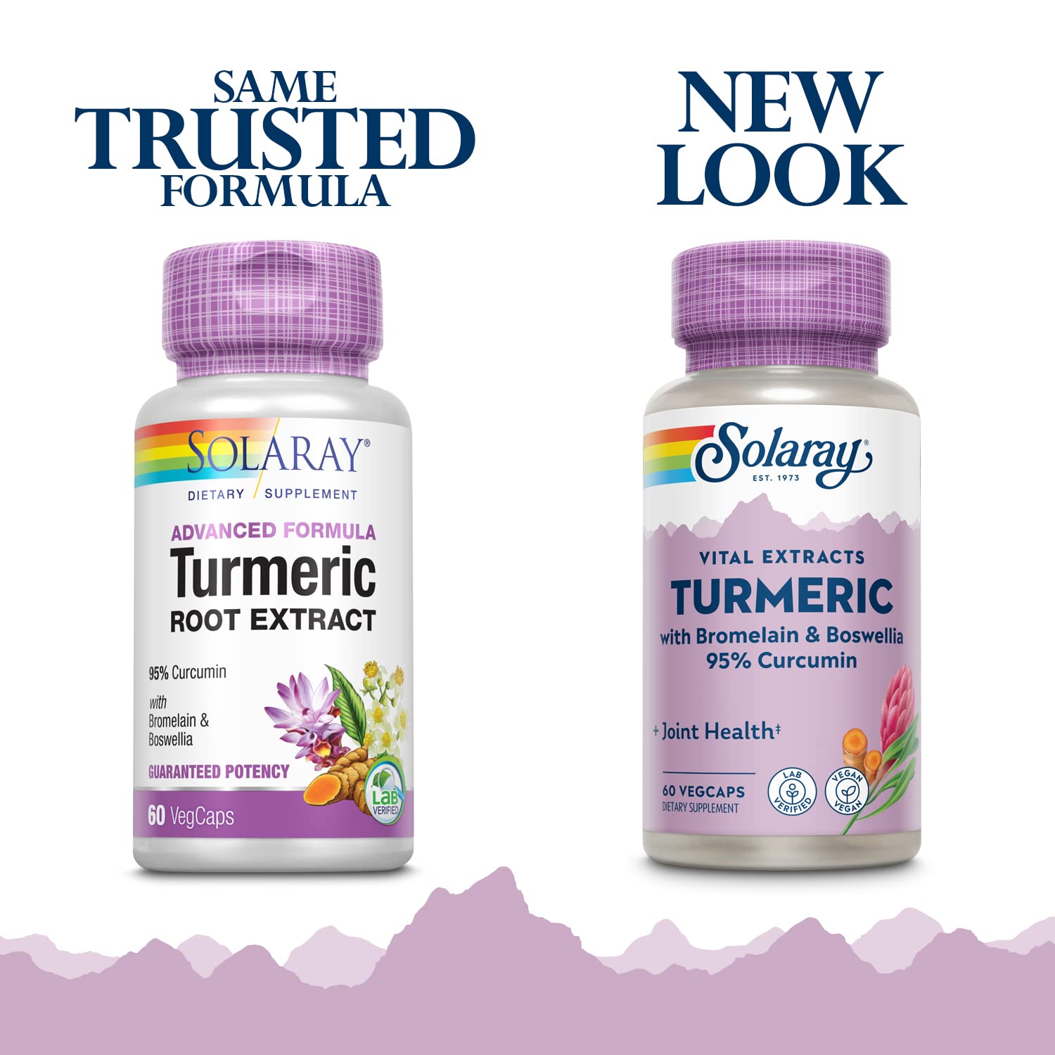 natural turmeric curcumin supplement
