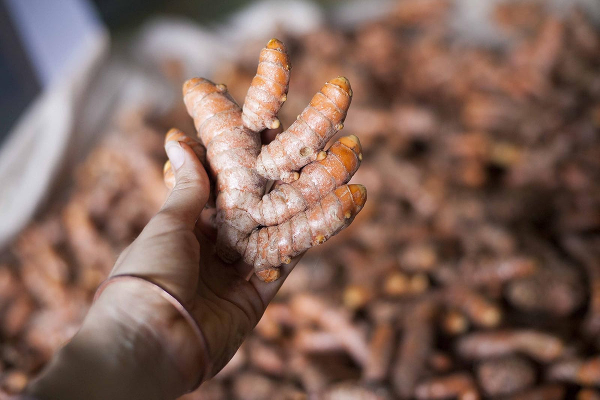 natural turmeric curcumin supplement
