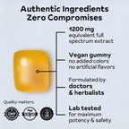 natural turmeric curcumin supplement
