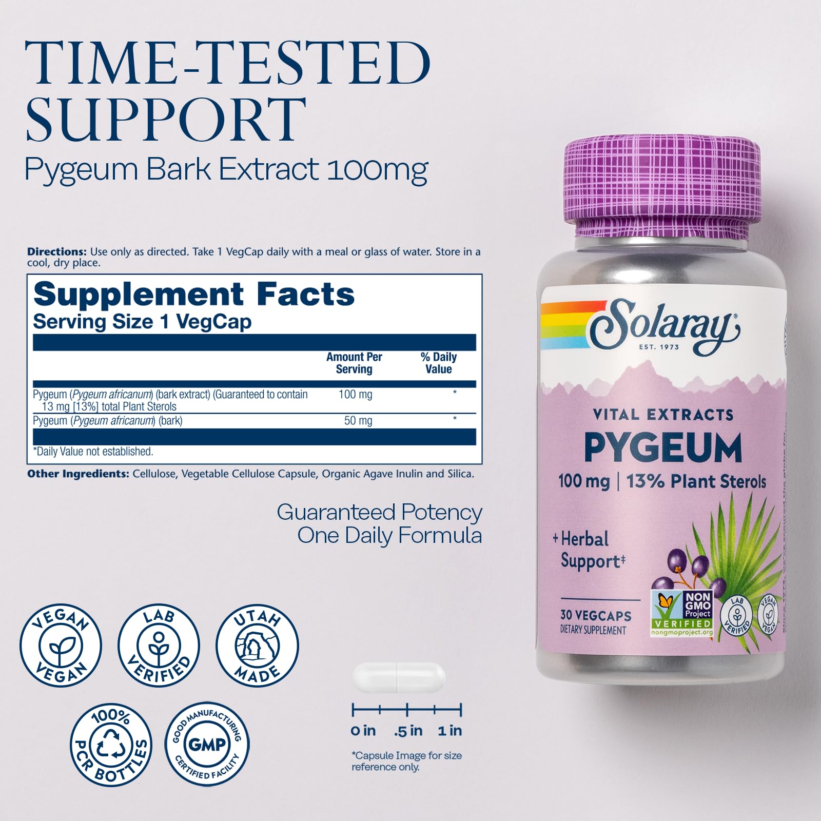 natural turmeric curcumin supplement