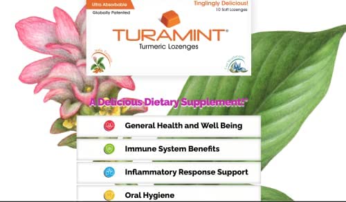 natural turmeric supplement for health