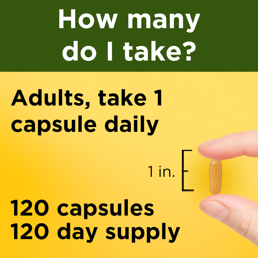natural turmeric supplement for wellness