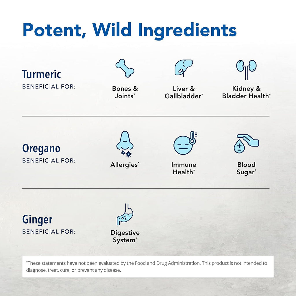 natural turmeric supplement for wellness