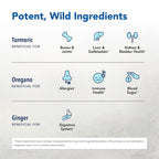 natural turmeric supplement for wellness