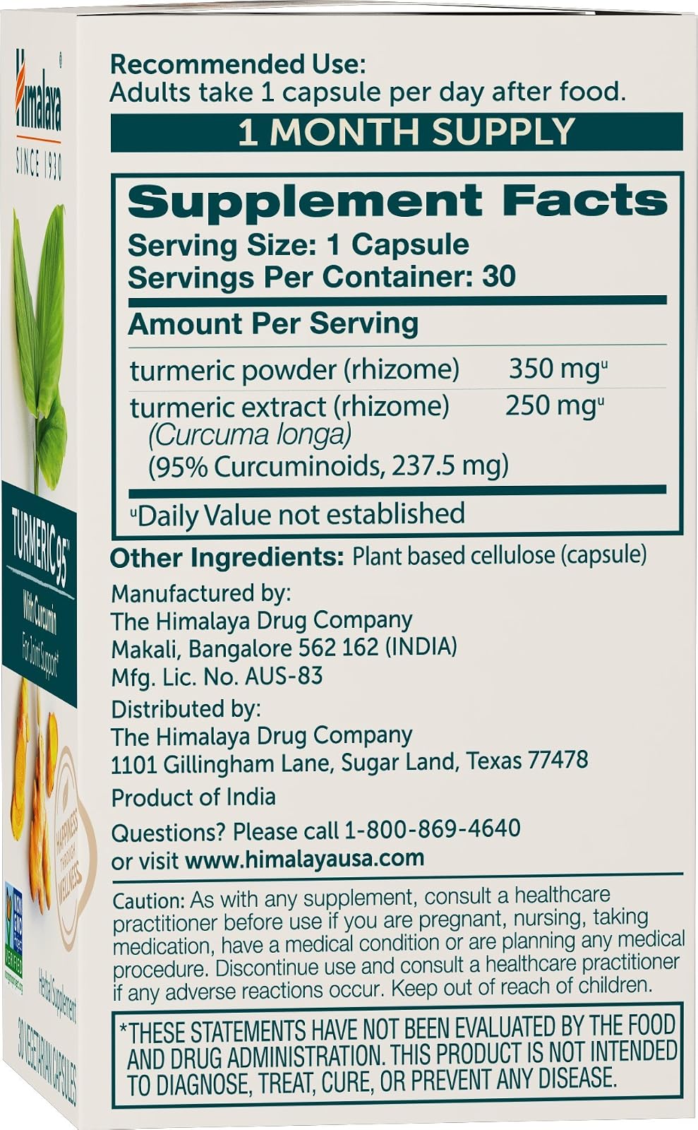 natural turmeric supplement for wellness