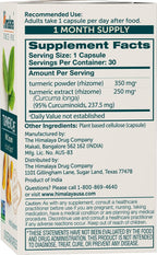 natural turmeric supplement for wellness