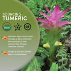 natural turmeric tea for digestion