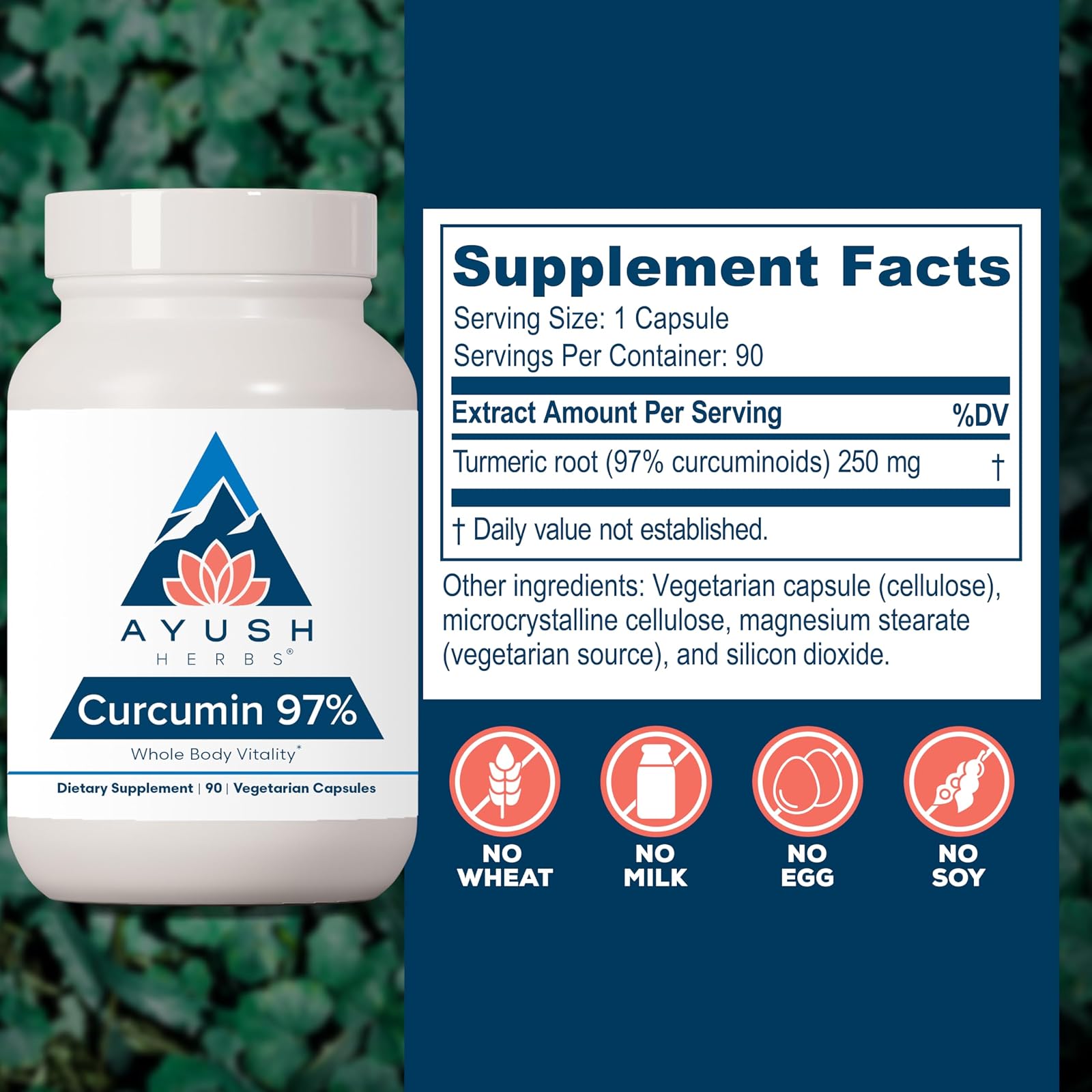 natural turmeric tea ingredient