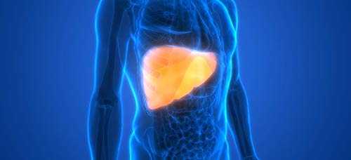 natural uric acid cleanse supplement