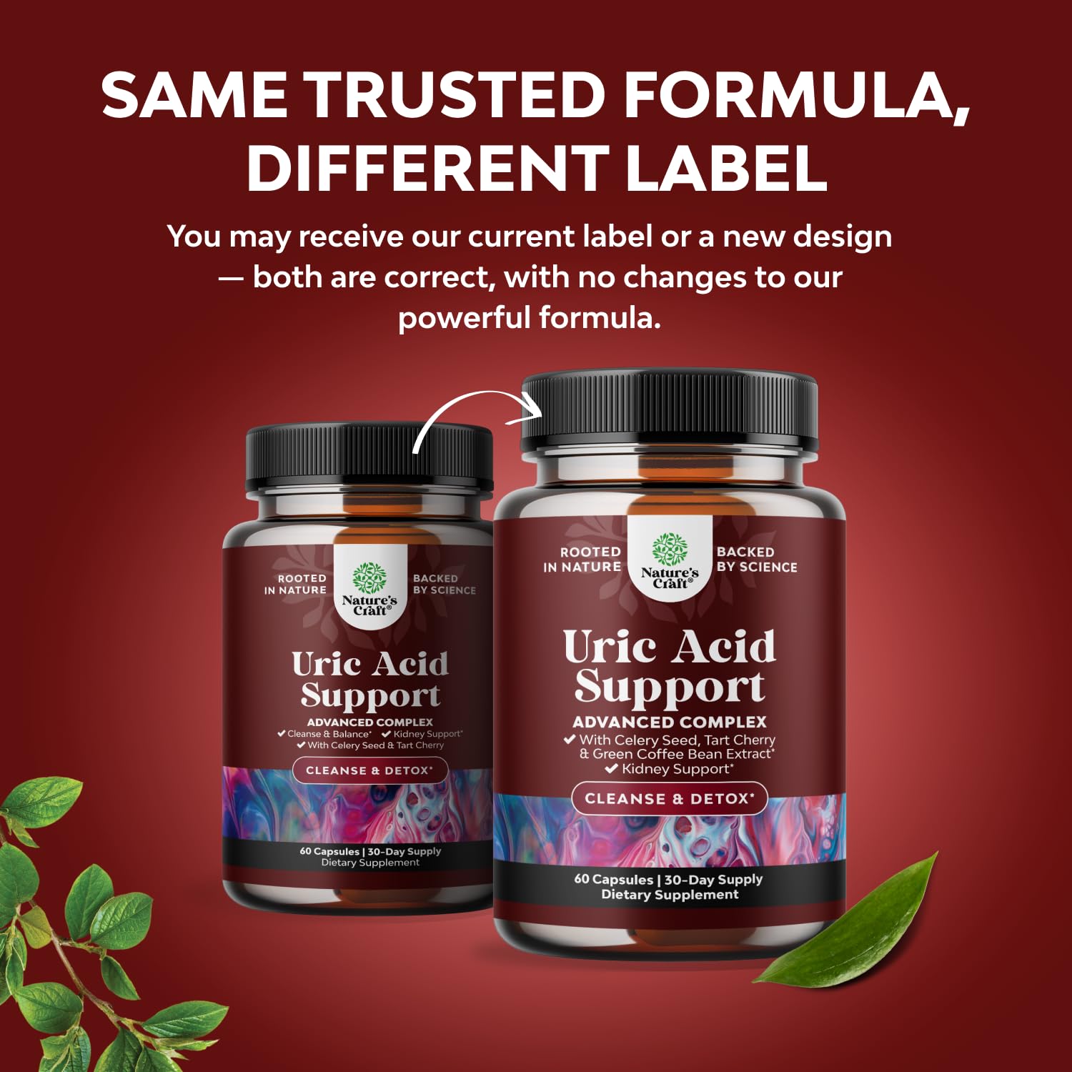 natural uric acid cleanse support