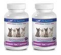natural urinary treats for cats