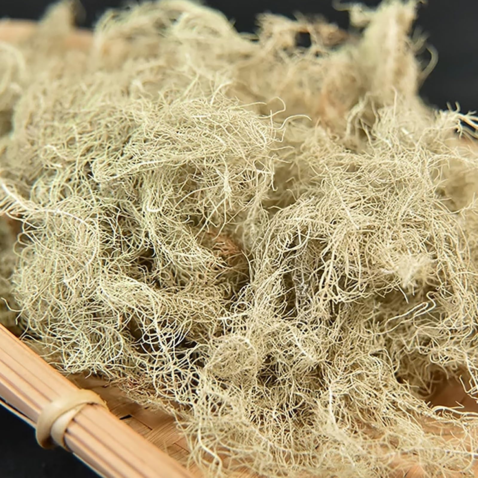natural usnea lichen for wellness