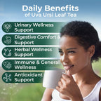 natural Uva Ursi leaf infusion