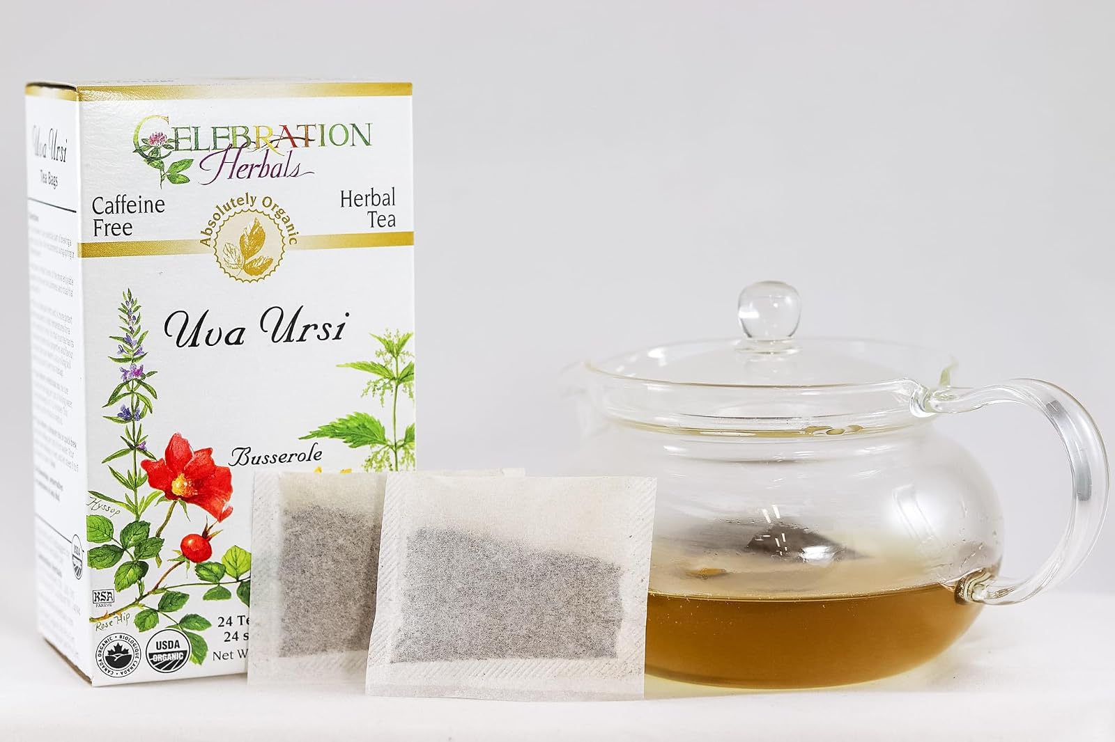 Natural Uva Ursi tea benefits