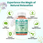 natural valerian gummies for sleep support