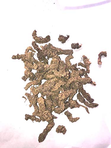 natural valerian root supplement