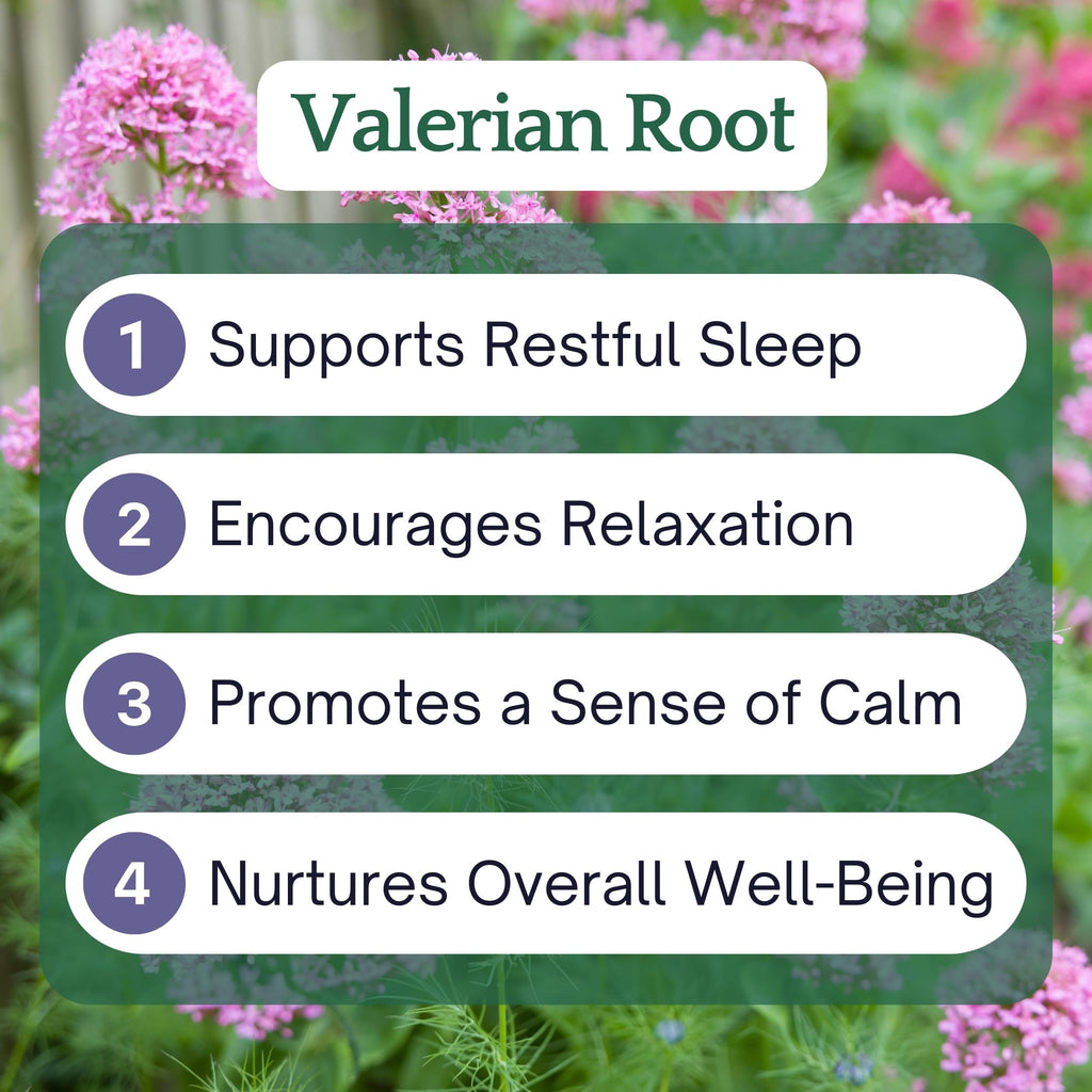 natural valerian supplement for relaxation