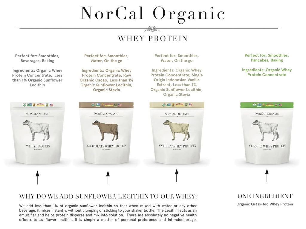 natural vanilla whey protein blend