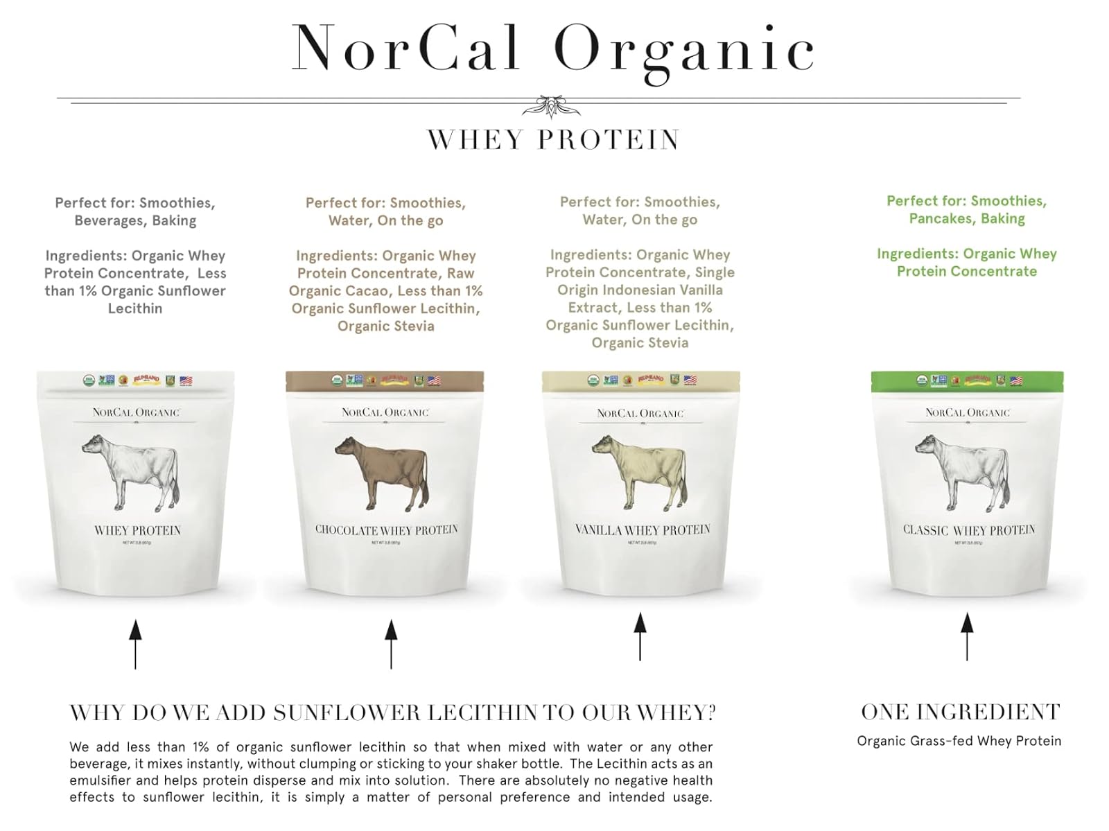 natural vanilla whey protein blend